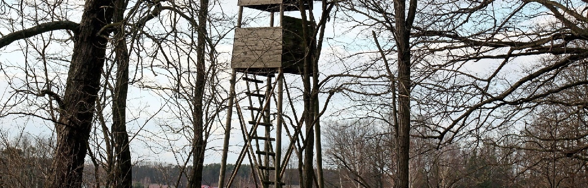 How to Build a Treestand for Deer Hunting - Deer Hunting Tips