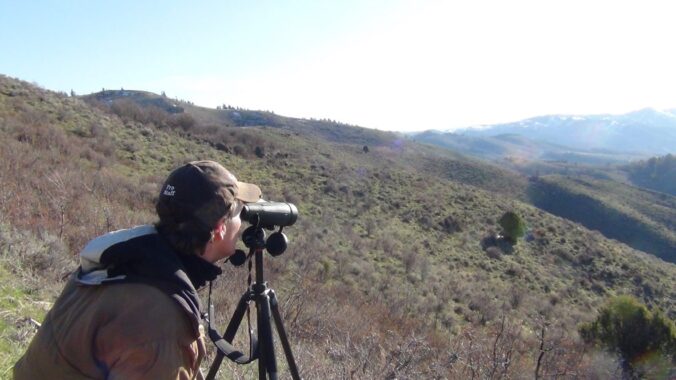 How to Hunt Mule Deer with a Bow | DeerProject.org
